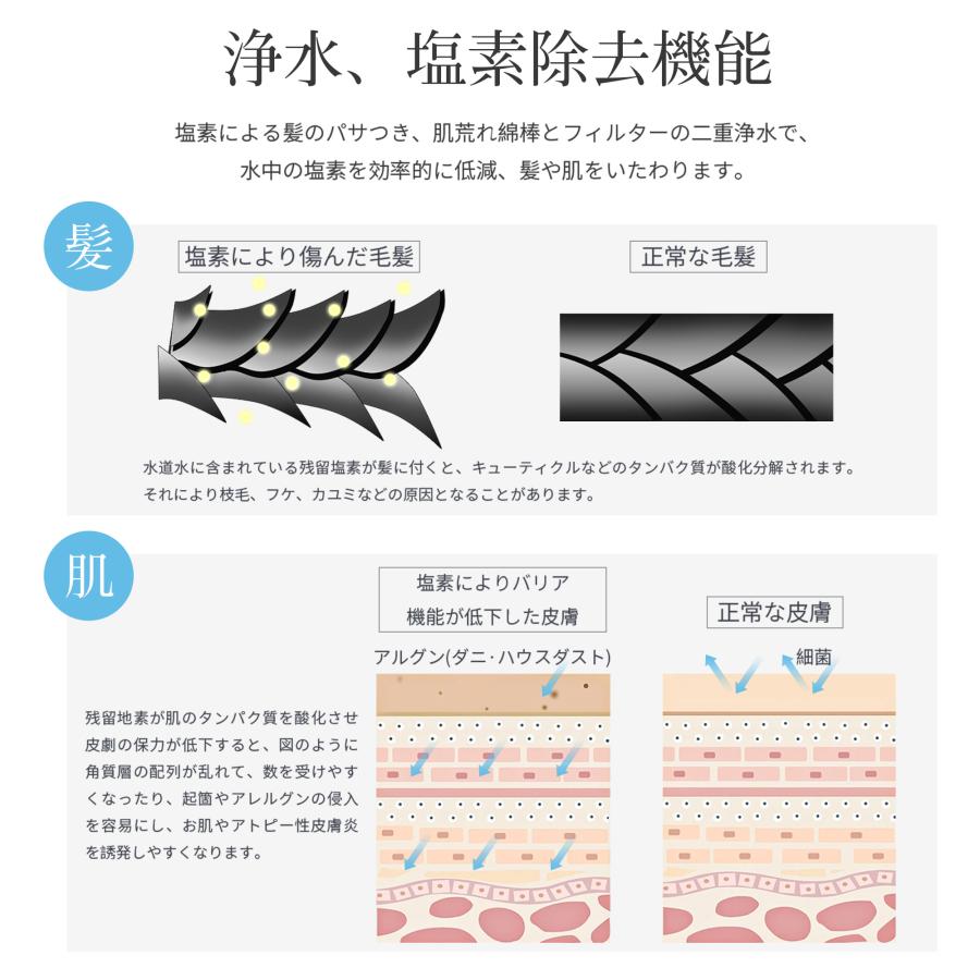 交換用カートリッジ 3本セット(9ヵ月分) 浄水フィルター Z10専用 交換用カートリッジ 3本セット(9ヵ月分) 浄水フィルター Z10専用