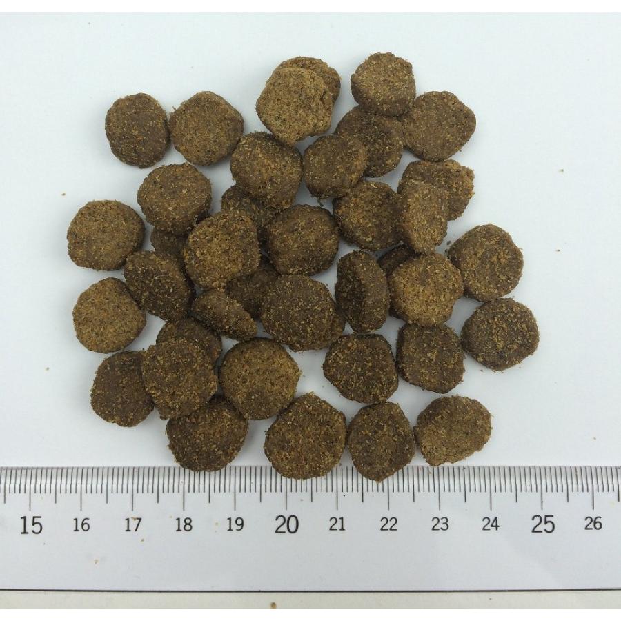 【選べるおやつのオマケ付】ファーストメイトドッグフード オーストラリアンラム 6.6kg : サクラソーケンネルYahoo!ショッピング店 - 通販 - Yahoo!ショッピング