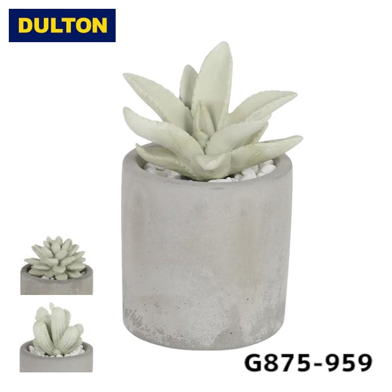 DULTON ダルトン G875-959 フレグランス ディフューザー G875-959-WL G875-959-SF G875-959-CG : サムライクラフト ヤフーショップ - 通販 ...