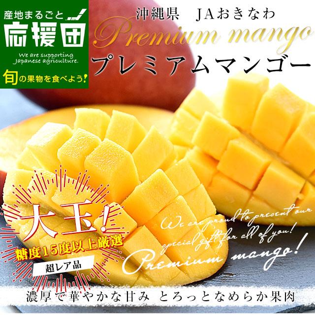 沖縄県より産地直送 JAおきなわ プレミアムマンゴー 赤秀品 大玉3Lから2Lサイズ 700g以上 (2玉入) 送料無料 沖縄マンゴー ギフト 夏ギフト お中元 御中元 : 産地まるごと応援団 ...