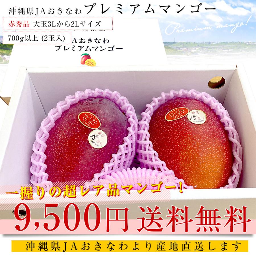 沖縄県より産地直送 JAおきなわ プレミアムマンゴー 赤秀品 大玉3Lから2Lサイズ 700g以上 (2玉入) 送料無料 沖縄マンゴー アップルマンゴー : 1239881482 : 産地 ...