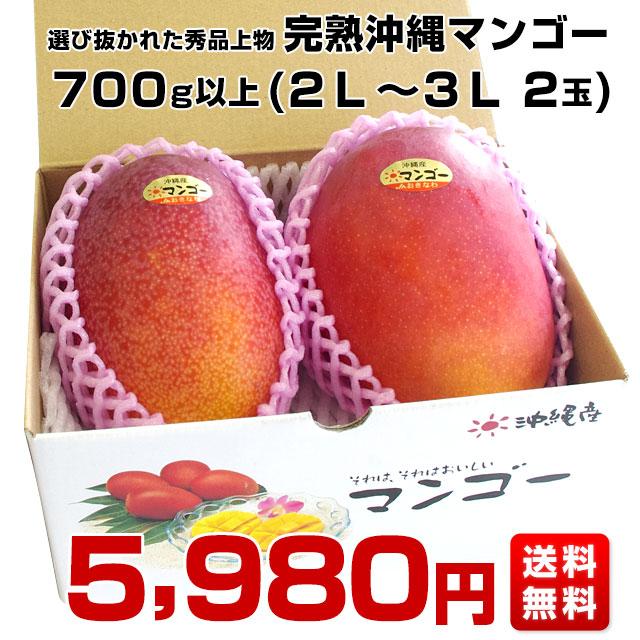 沖縄県産 JAおきなわ 完熟沖縄マンゴー 秀品 2Lから3Lサイズ×2玉 合計700g (約350g×2玉) 送料無料 まんごー ギフト 夏ギフト お中元 御中元 : 産直だより - 通販 ...
