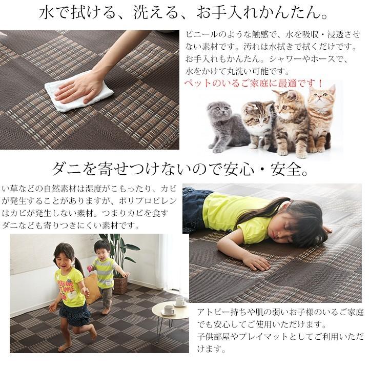 い草 風 ラグ カーペット 本間6畳 286.5×382cm 国産 洗える ペット マット ポリプロピレン PP ダイニングラグ レジャーシート イグサ 調 デザイン 新生活 : コタツ ...