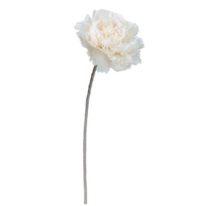 ピオニー クリ−ムホワイト a-33640-011 【ascaアスカ】 : サンエイクラフトONLINE - 通販 - Yahoo!ショッピング