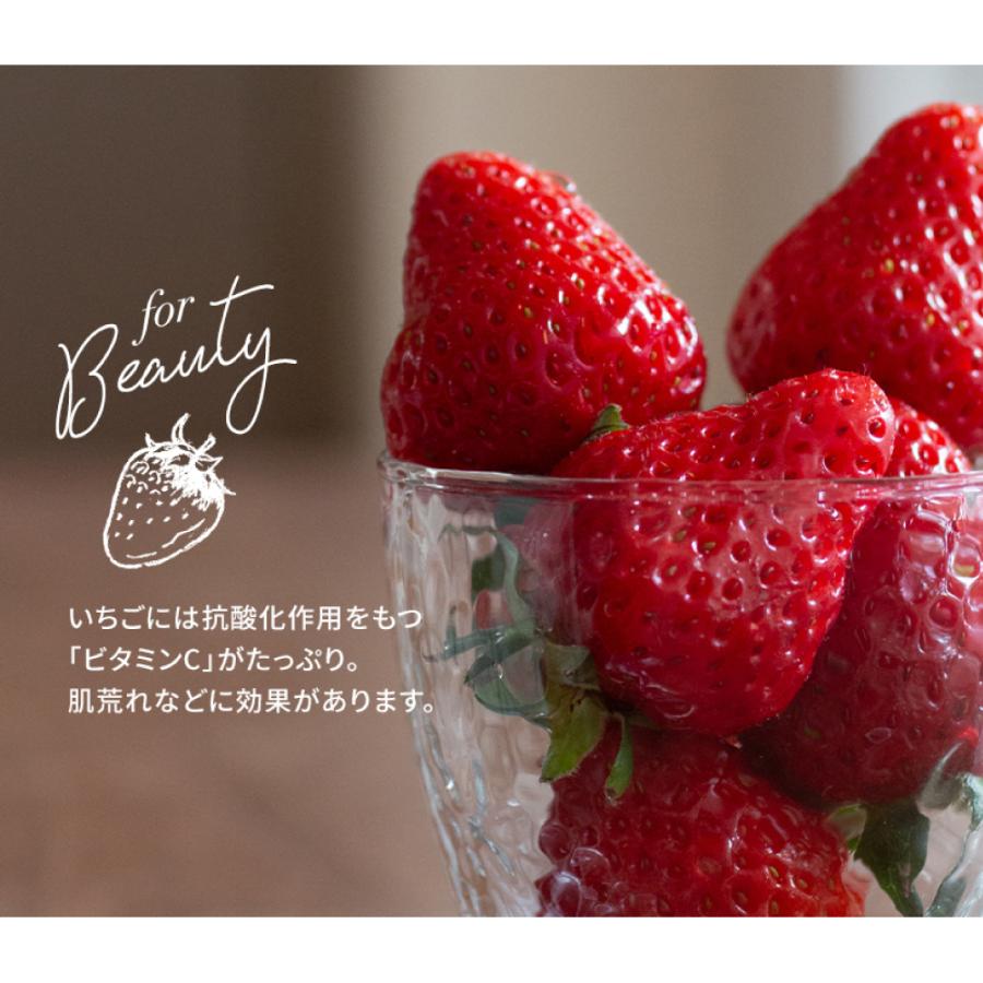 イチゴ ドライフルーツ 砂糖不使用 ドライイチゴ スライス 60g（30g×2袋）国産 とちあいか 無添加 ビタミン 食物繊維 栄養 美容 美肌 健康 ヨーグルト : フルベジール - 通販 ...