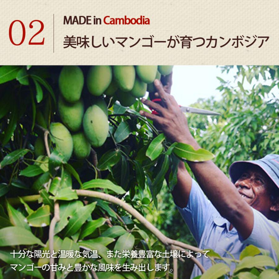 ドライフルーツ 砂糖不使用 無添加 完熟 ドライマンゴー お試し 20g ギフト ヨーグルト 紅茶 トッピング : 10000308 ...