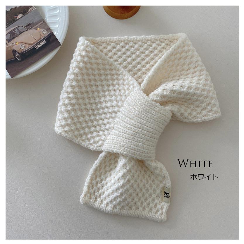 ネックウォーマー ミニ マフラー プチマフラー 差し込み マフラー 秋 冬 温活 カシミア 誕生日 ギフト プレゼント :gdf002:さのの ...