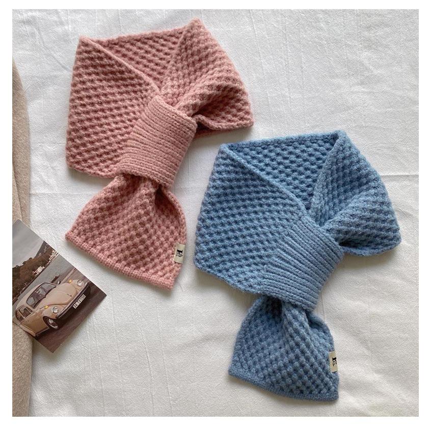 ネックウォーマー ミニ マフラー プチマフラー 差し込み マフラー 秋 冬 温活 カシミア 誕生日 ギフト プレゼント :gdf002:さのの ...