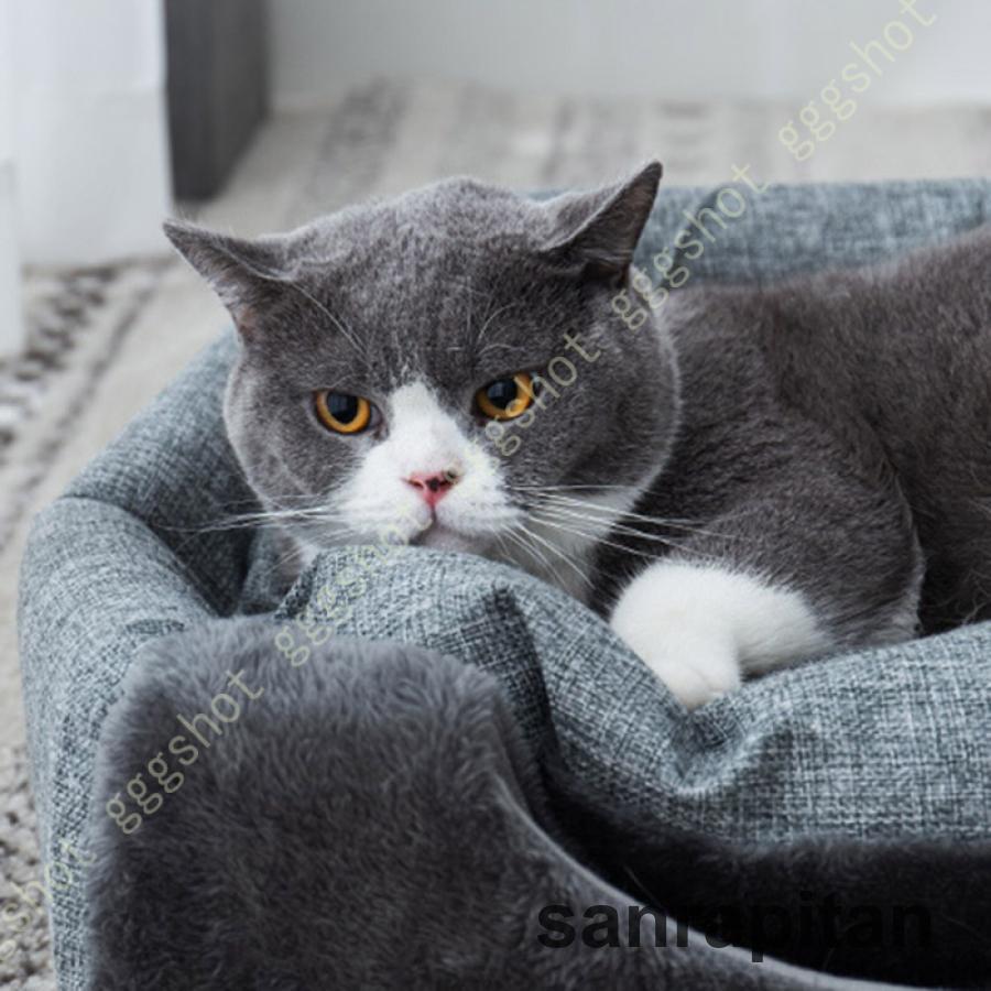 猫 犬 ペット ベッド ペットベッド ドームハウス ドーム型 ドーム ハウス ペットテント クッション付き ペット用寝袋 ペット用品 : サンラびったん - 通販 - Yahoo!ショッピング