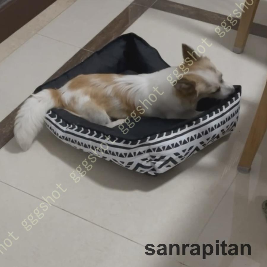 安心感の箱型ペット用ベッド ラウンジベッド ドッグライフ ライトブルー Mサイズ 犬 ペットベッド ペットベット 犬用 ペット用ベット 箱 : サンラびったん - 通販 - Yahoo!ショッピング