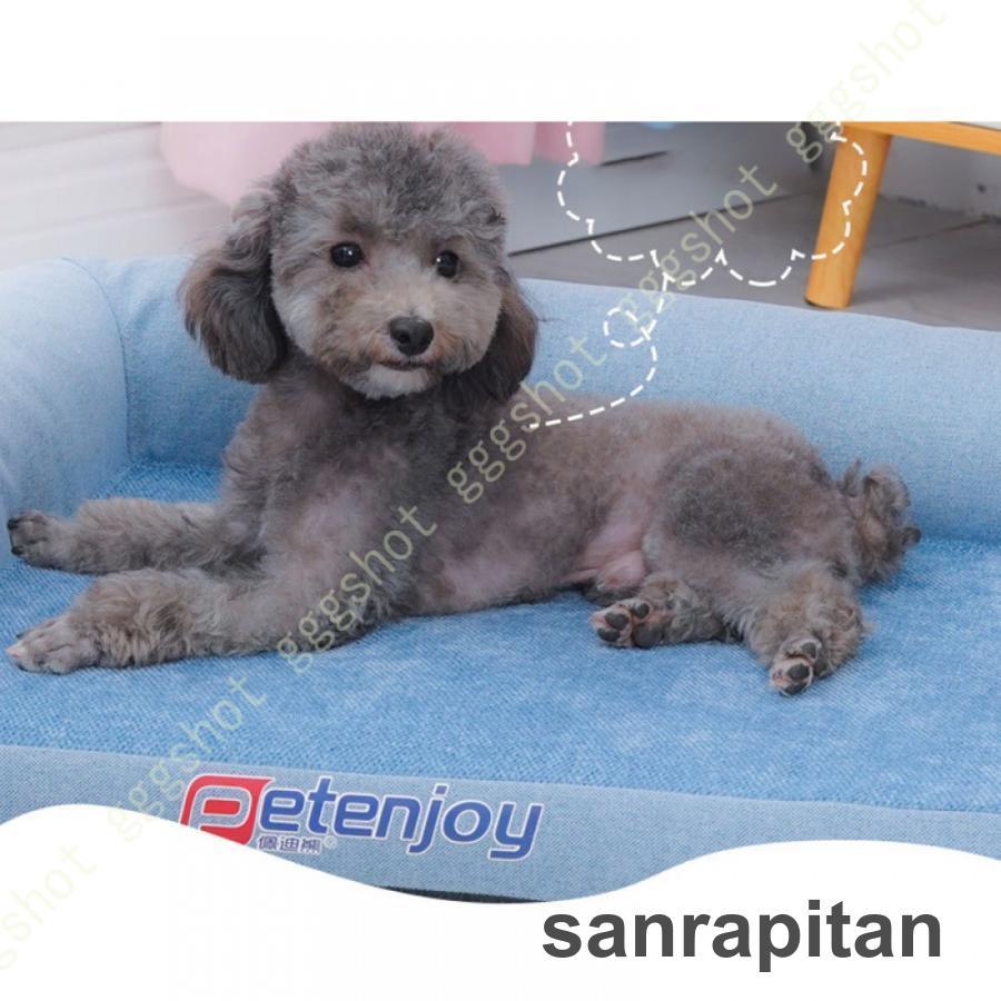 犬 ベッド ペットベッド 夏用 大型犬用ベッド ペットクッション 枕付き クッション性が 高反発 デラックス 厚め 寒さ対策 高齢犬 子犬 猫 多頭飼い : petto06-61005 ...