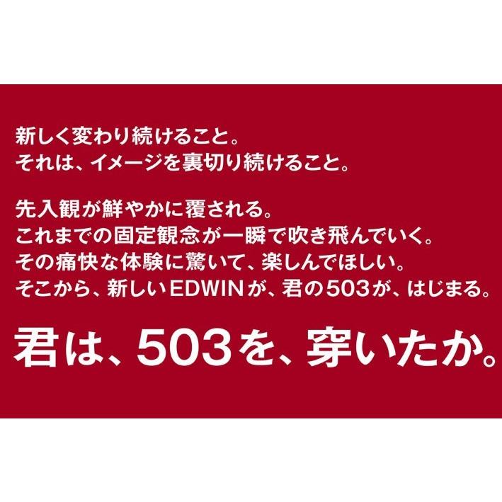 EDWIN エドウィン 503 ルーズストレート ストレッチ メンズ ジーンズ 日本製 E50304-126 E50304-146 :191216-e50304-126-146:JEANS ...