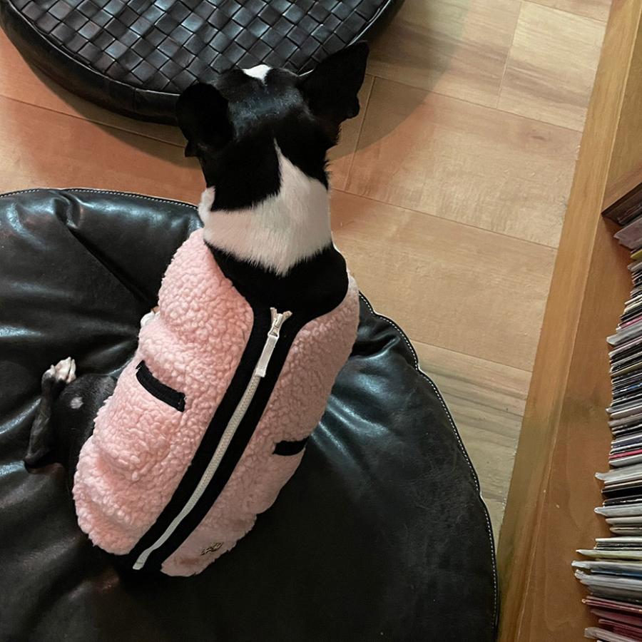 ドッグウェア ブランド MAiTE マイト 犬服 散歩着 かわいい 可愛い 冬用 防寒 チワワ トイプードル ダックスフンド 小型犬 : 靴の ...