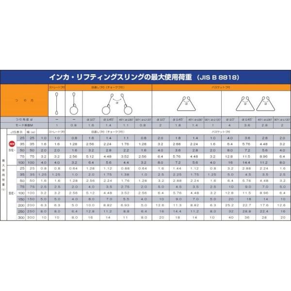 大洋製器工業 インカリフティングスリング JIS IV等級 耐荷重25％アップ IVE-25mm幅-1m 2本セット 大洋製器 : 溶接用品プロショップ SANTEC - 通販 - Yahoo ...