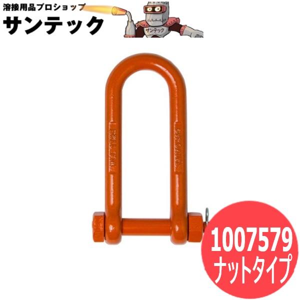 大洋製器工業 強力長シャックルTSL(ボルト・ナットタイプ) TSL-6×170 大洋精器工業 : 溶接用品プロショップ SANTEC - 通販 - Yahoo!ショッピング