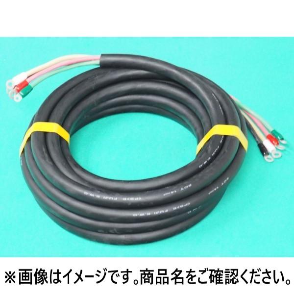 【2CT/4芯/8M】電源ケーブル・両端ターミナル付(R14-6/R14-8) : 溶接用品プロショップ SANTEC - 通販 - Yahoo!ショッピング