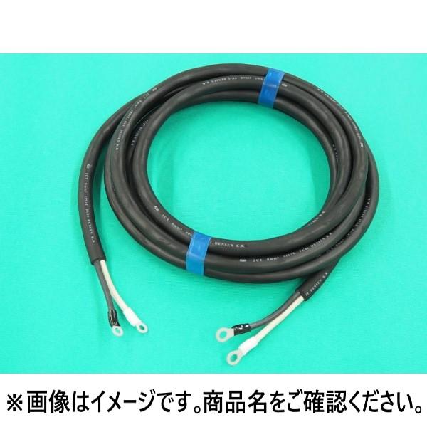 【2CT/2芯/8M】電源ケーブル・両端ターミナル付(R14-8/R14-6) : 溶接用品プロショップ SANTEC - 通販 - Yahoo!ショッピング
