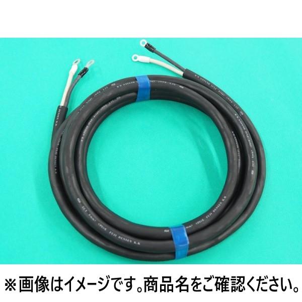【2CT/2芯/8M】電源ケーブル・両端ターミナル付(R14-8/R14-6) : 溶接用品プロショップ SANTEC - 通販 - Yahoo!ショッピング