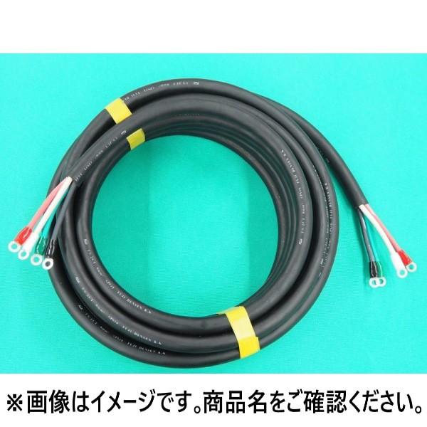 【2CT/4芯/3M】電源ケーブル・両端ターミナル付(R22-10/R22-8) : 溶接用品プロショップ SANTEC - 通販 - Yahoo!ショッピング