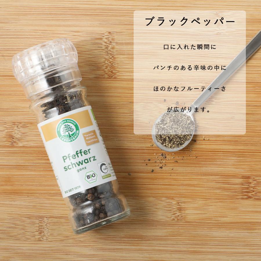 ペッパー ミル付き 45g ブラックペッパー レインボーペッパー 胡椒 レーベンスバウム : r0340013 : サンテラボ(年中無休で発送) - 通販 - Yahoo!ショッピング