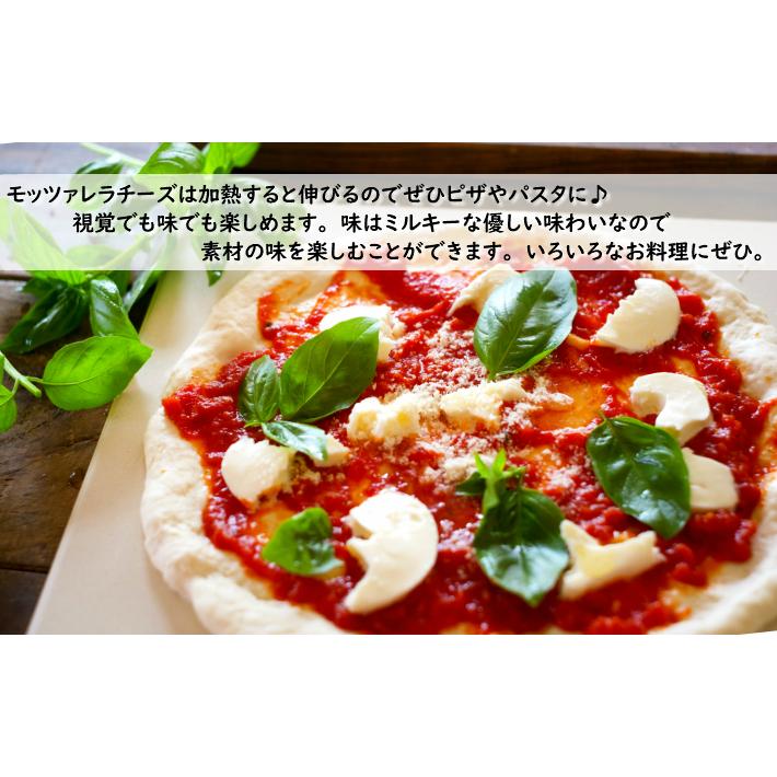 (40個)[冷凍品]イタリア パルマラット モッツァレラ バッカ 100g×40個セット(4000g) : チーズの三祐 - 通販 - Yahoo!ショッピング