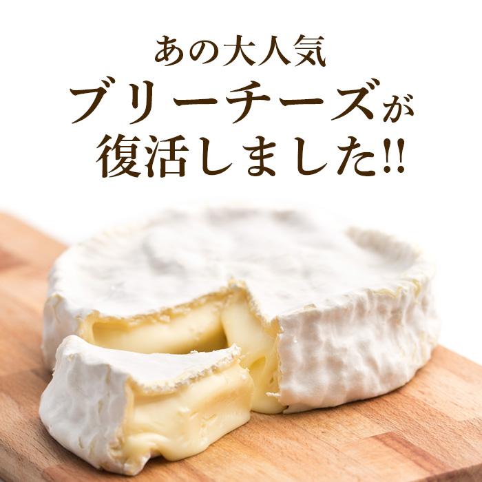 (賞味：2025/2/27)[2kg]フランス ル・ルスティック(LE GRAND RUSTIQUE) ブリー チーズ(Brie Cheese ...