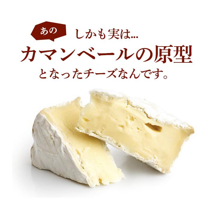 (賞味：2025/2/27)[2kg]フランス ル・ルスティック(LE GRAND RUSTIQUE) ブリー チーズ(Brie Cheese ...