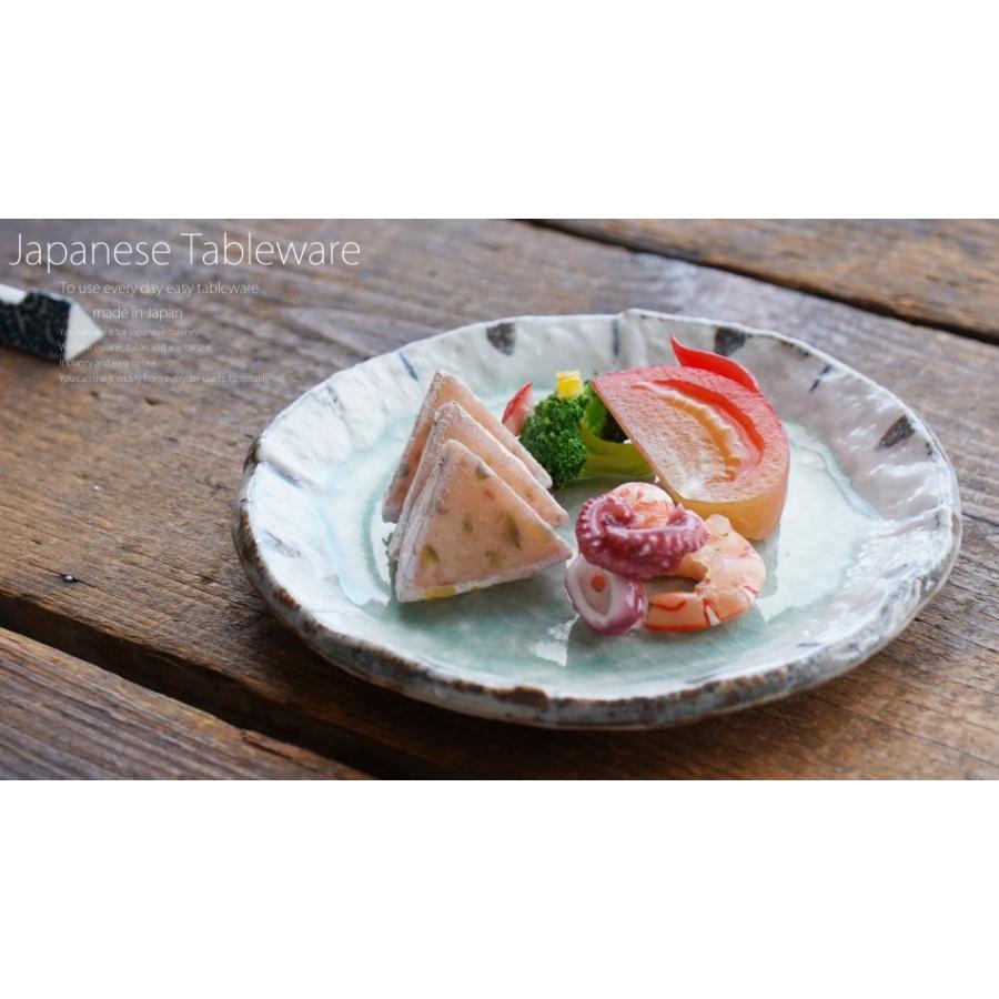 和食器 ヘルシーおかず ペパーミントグリーン十草 前菜 サラダ 18.6×2.5cm プレート 丸皿 おうち ごはん うつわ 食器 日本製 ...