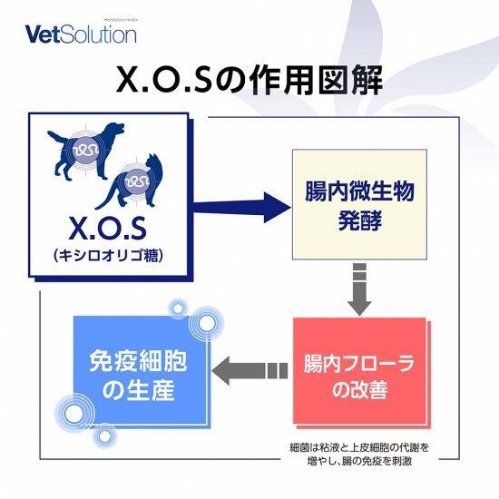 vet solution キャットフード 腎臓サポート 400g : Sara商店 - 通販 - Yahoo!ショッピング