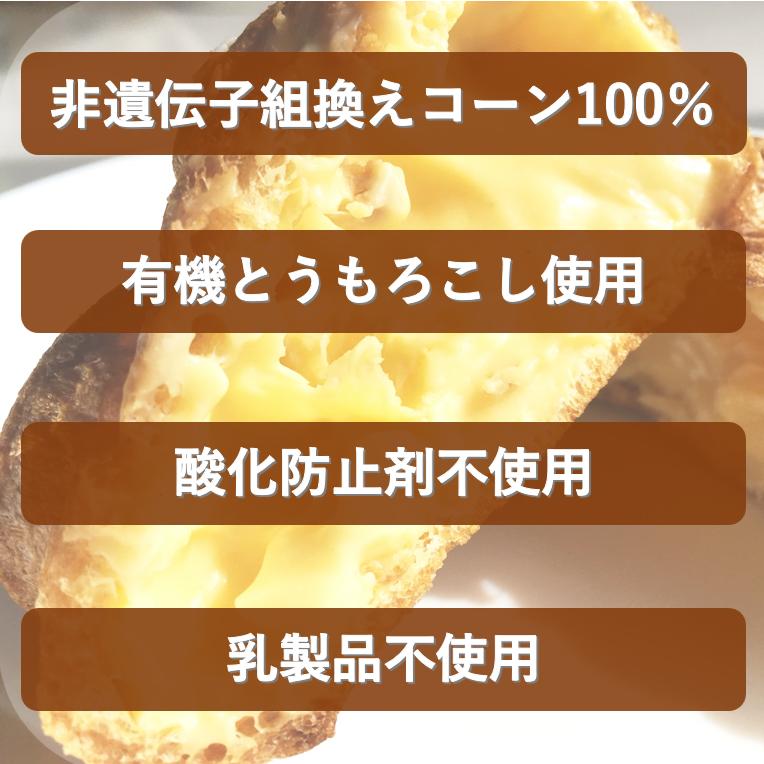 ALISHAN 有機 コーンスターチ 100g 3袋 アリサン でん粉 でんこ とうもろこし粉 とうもろこし澱粉 澱粉 : S.a.s.a.o.k.a.ya ヤフー店 - 通販 - Yahoo ...