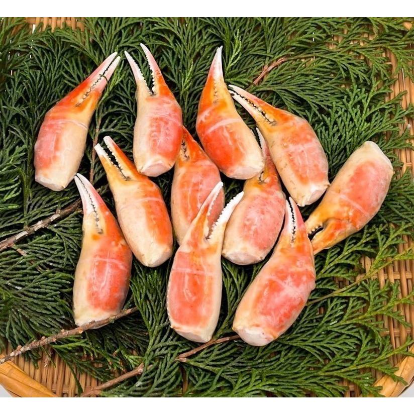 かに カニ 蟹爪 かに爪「 ズワイガニ 爪 6L 1Kg 」1kgで11個〜15個 送料無料（本州のみ）ギフト さかな : サスイゲタフードヤフー店 - 通販 - Yahoo!ショッピング