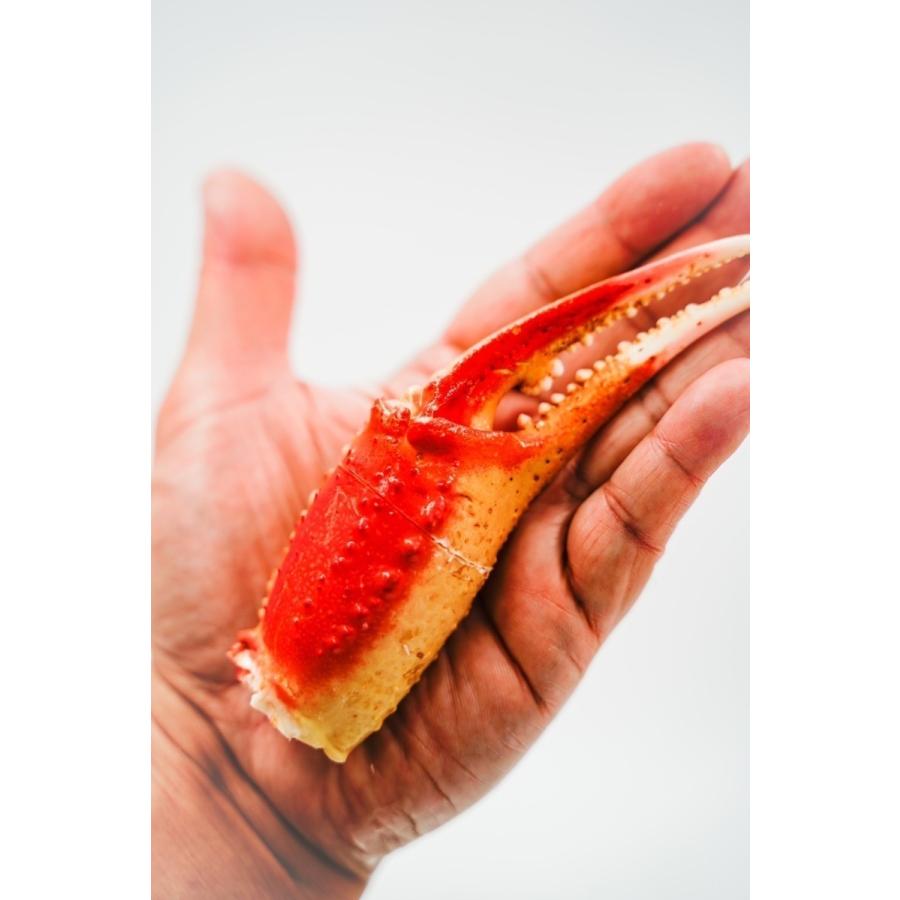 かに カニ 蟹爪 かに爪「 ズワイガニ 爪 6L 1Kg 」1kgで11個〜15個 送料無料（本州のみ）ギフト さかな : サスイゲタフードヤフー店 - 通販 - Yahoo!ショッピング