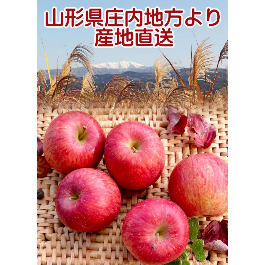 ふじりんご L14〜18玉 5kg 山形県庄内産 林檎 リンゴ 果物 フルーツ 食の都庄内 : 安心とおいしさが詰まったお祝いおこわの店佐徳 - 通販 - Yahoo!ショッピング