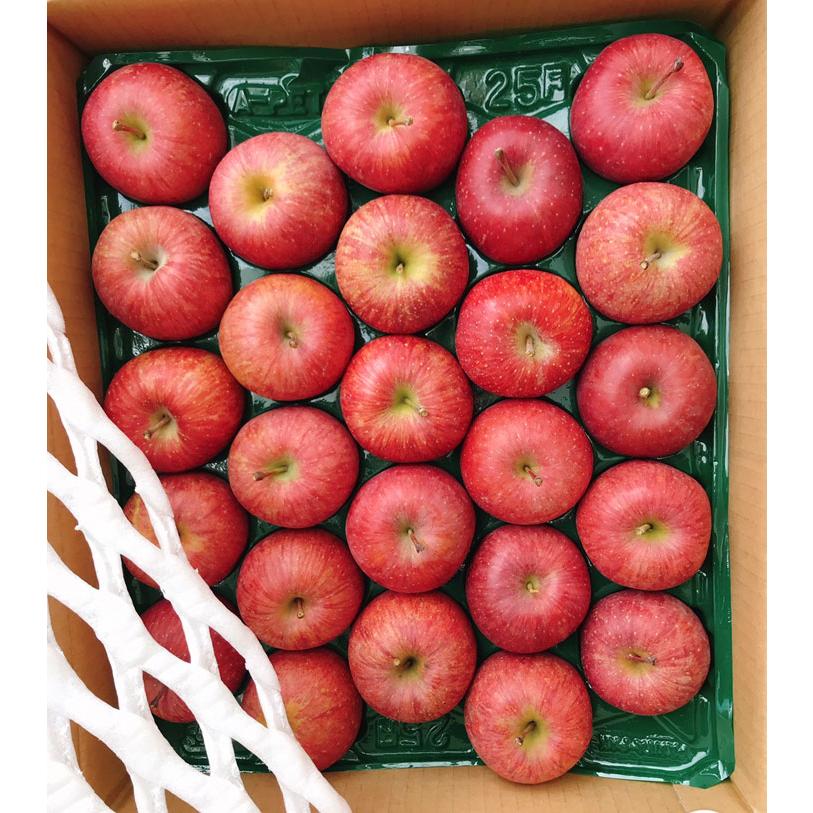 ふじりんご L14〜18玉 5kg 山形県庄内産 林檎 リンゴ 果物 フルーツ 食の都庄内 : 安心とおいしさが詰まったお祝いおこわの店佐徳 - 通販 - Yahoo!ショッピング