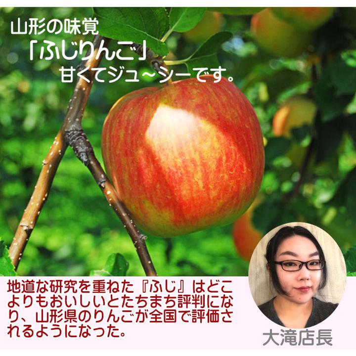 ふじりんご L14〜18玉 5kg 山形県庄内産 林檎 リンゴ 果物 フルーツ 食の都庄内 : 安心とおいしさが詰まったお祝いおこわの店佐徳 - 通販 - Yahoo!ショッピング