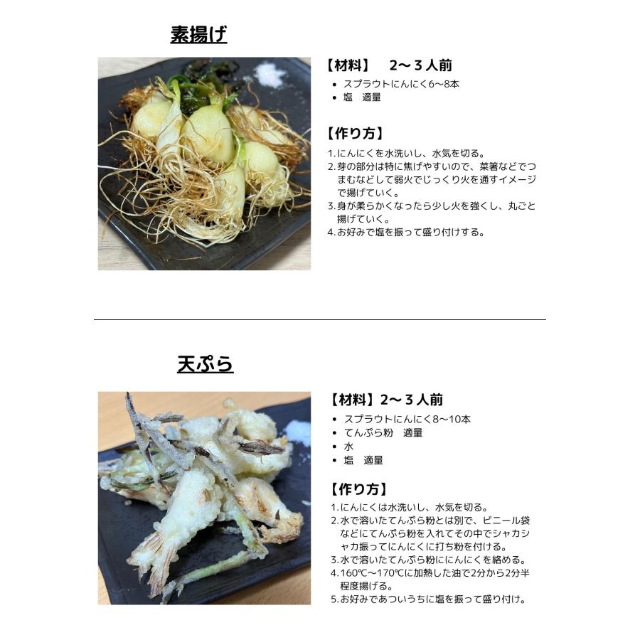 訳あり スプラウトニンニク ニンニク ガーリック すぷらうとにんにく 170g 約30個セット 食べた次の日 臭わない 常温発送 発芽にんにく 国産 宮城県産 : SATORIYahoo ...