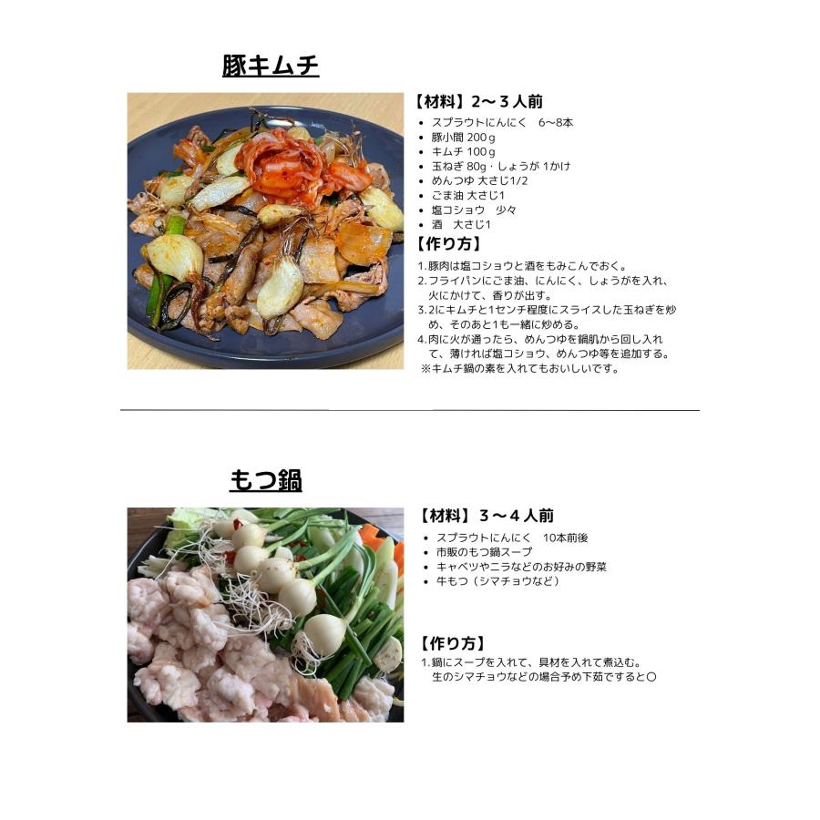 訳あり スプラウトニンニク ニンニク ガーリック すぷらうとにんにく 170g 約30個セット 食べた次の日 臭わない 常温発送 発芽にんにく 国産 宮城県産 : SATORIYahoo ...