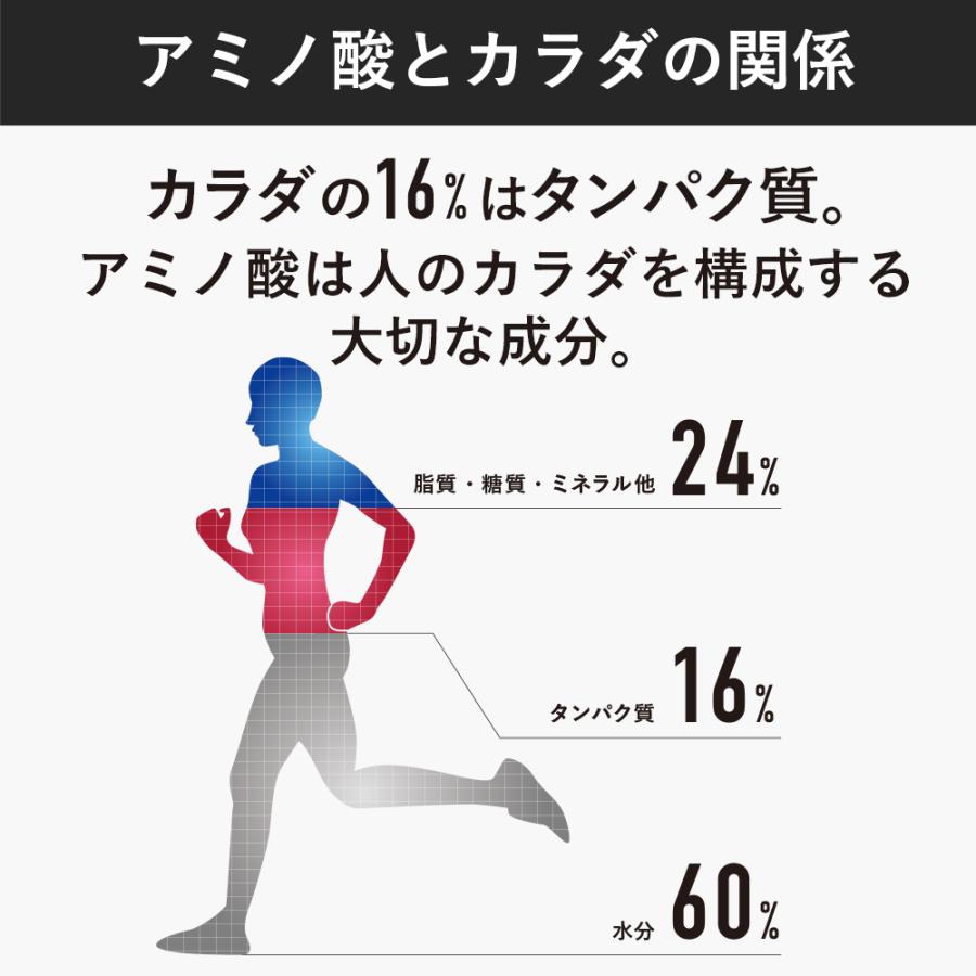 BCAA 【国産】オルニチン 必須アミノ酸 9種配合 3000mg OCAA 1000mg 配合 アルギニン シトルリン サウルス SAURUS 朝 トレーニング前 疲労 筋肉 ランニング ...