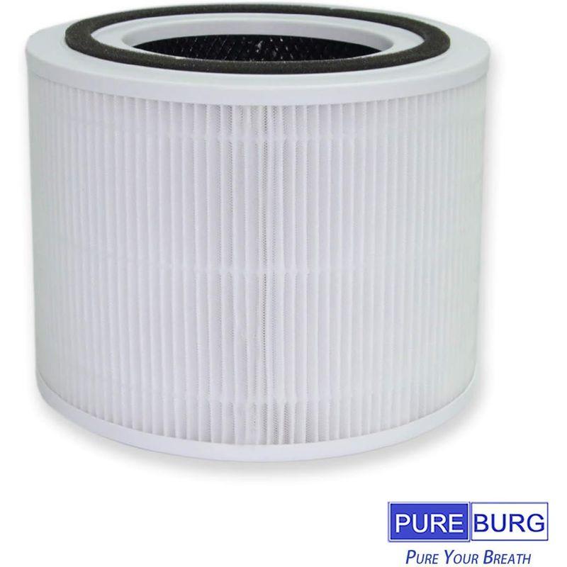 PUREBURG 2パック 3イン1 HEPA 交換用フィルター Levoitとの互換性ありcore 300/P350 空気清浄機 パーツ番 : 20240113191114-00928 ...