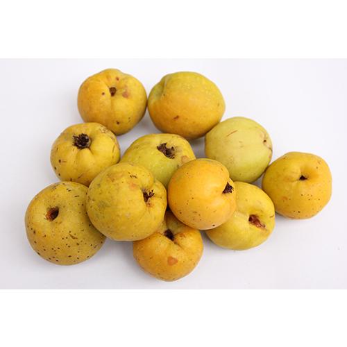 SAWAYA 沢屋 地梨ジャム Sサイズ（125g） : 沢屋公式 Yahoo!ショッピング店 - 通販 - Yahoo!ショッピング