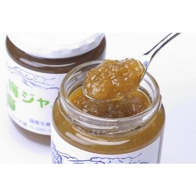 SAWAYA 沢屋 梅ジャム Sサイズ（125g） : 沢屋公式 Yahoo!ショッピング店 - 通販 - Yahoo!ショッピング