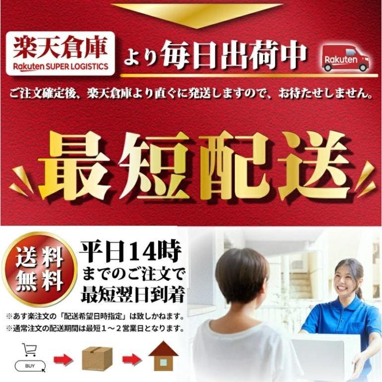 エプソン対応プロジェクターケース 耐衝撃キャリングケース 収納 エプソン対応プロジェクターケース 耐衝撃キャリングケース 収納