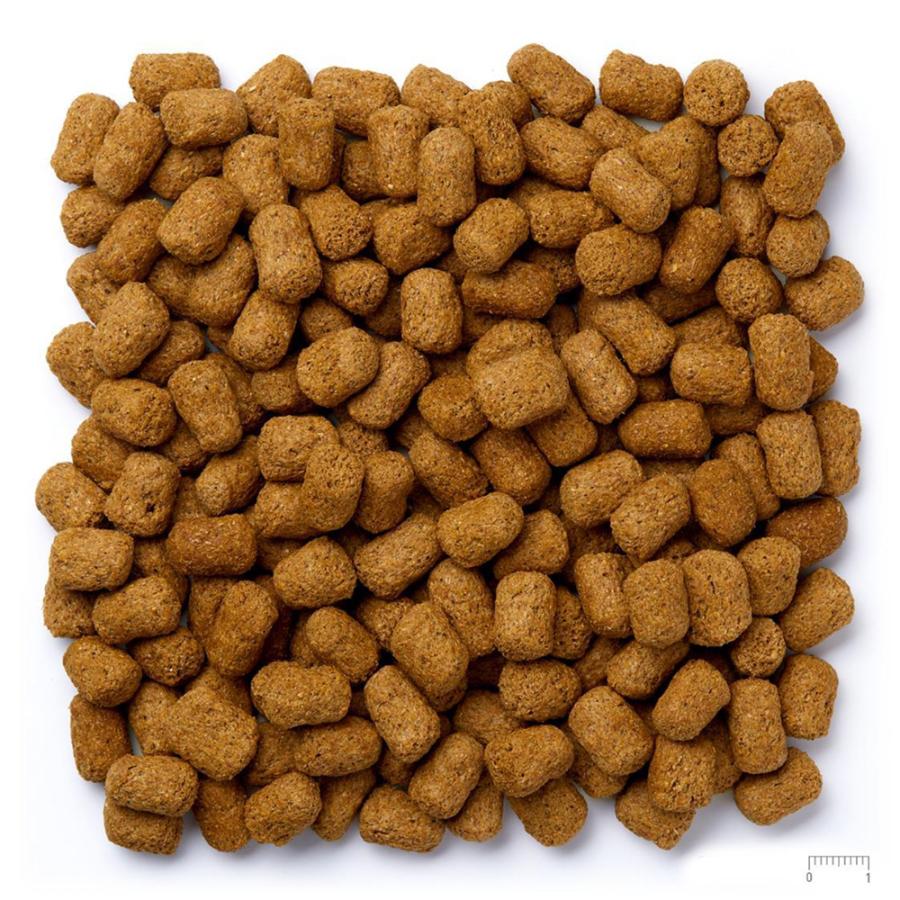 【単品】『 トータス（陸ガメ）ダイエットフード 560g 』 5M21-S Mazuri 正規代理店 : SBSコーポレーション - 通販 - Yahoo!ショッピング