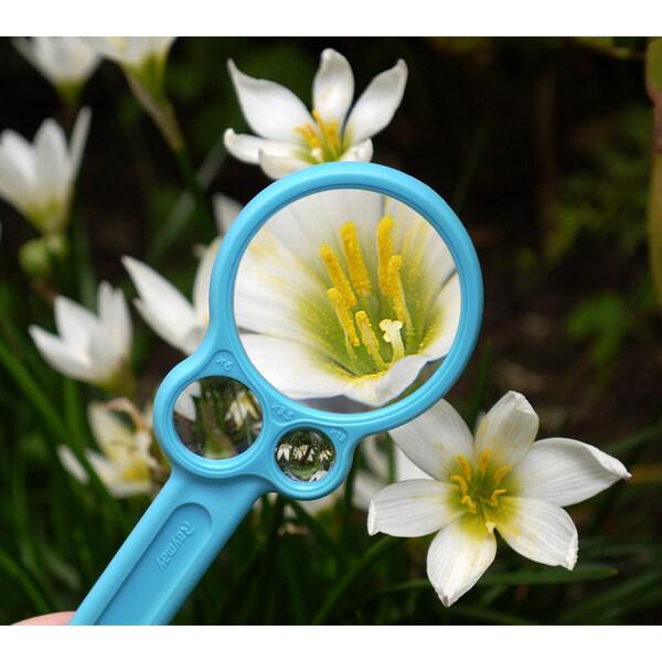 レイメイ藤井 先生オススメ!!超観察ルーペ EW401 自然 理科 科学 拡大 なまえシール 安全ネックストラップ [02] 〔合計1100円 ...