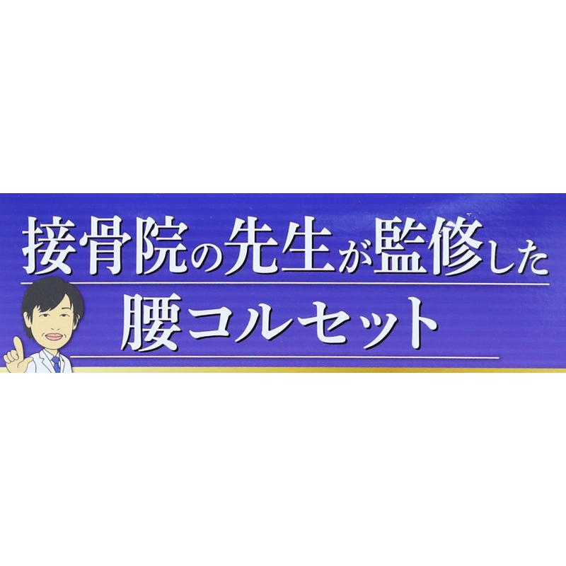 セルヴァン 固定ベルト 男女兼用 腰 コルセット 綿100％ M〜LL・LL〜3L (サポーター ベルト ポケット付き 在宅ワーク 中腰) (送料無料) (介護用品) (取寄せ) : スクール ...