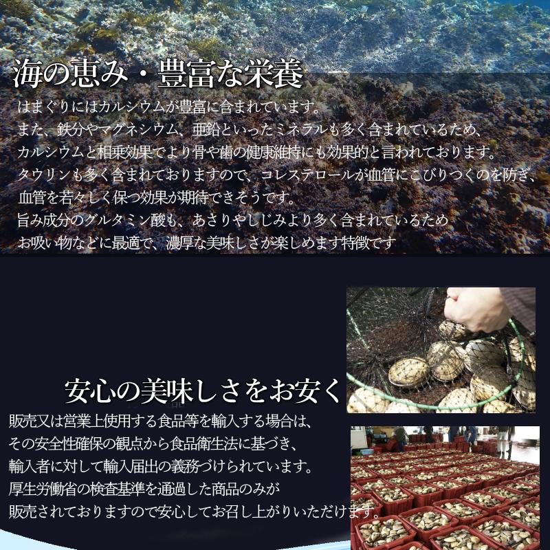 はまぐり ハマグリ 蛤 2Lサイズ 500g （約8〜10個入り）殻付ハマグリ ボイル加工 ボイルはまぐり ・殻付はまぐり【2L】・ : seafoodmax - 通販 - Yahoo!ショッピング