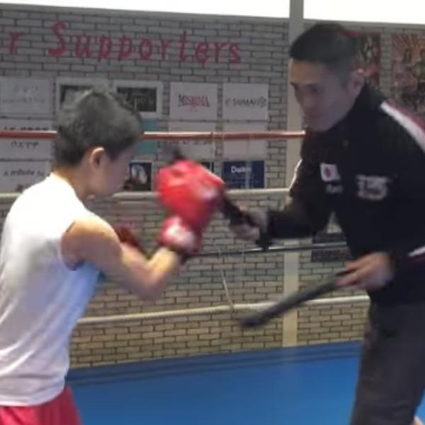 BODYMAKER(ボディメーカー) アウトスティック スティックミット/スパーリング/格闘技/ミット打ち KM064 : Sealass - 通販 - Yahoo!ショッピング