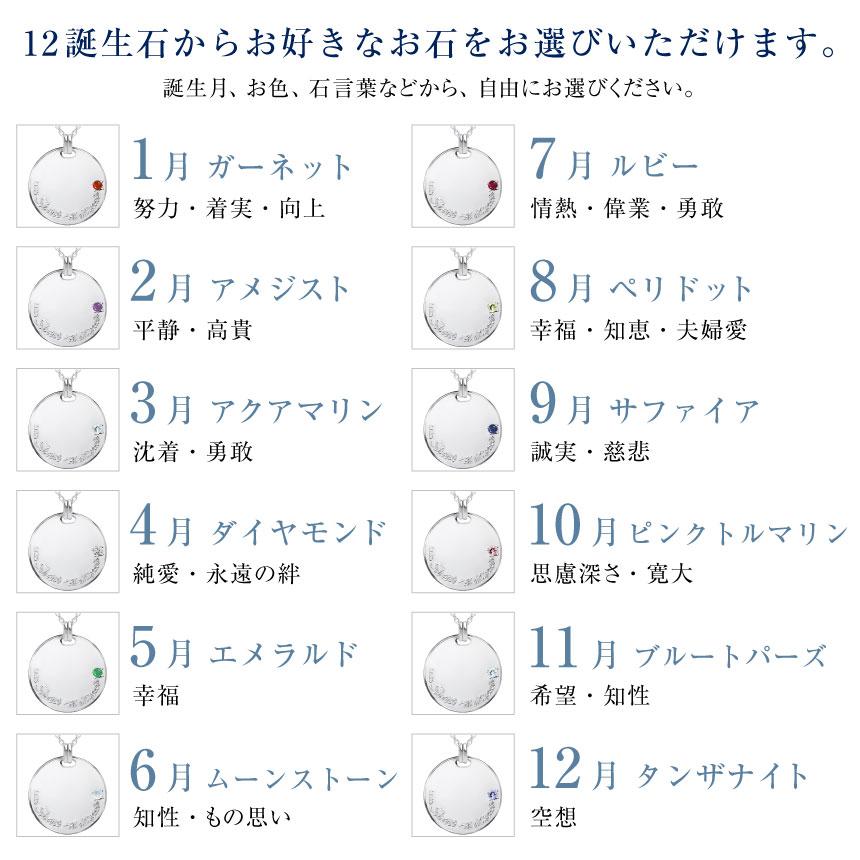 Sears ネックレス メンズ リバーシブル シルバー925 シルバー ダイヤモンド 誕生石 コインネックレス sv925 ダイヤ 天然石 シアーズ LSC : シアーズ公式ストア - 通販 ...