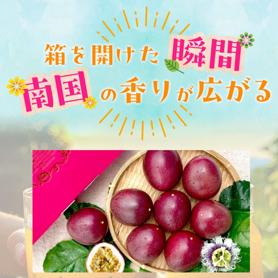 パッションフルーツ 2kg（18〜22玉入） 沖縄県産 ご贈答用 生産者直送 農薬不使用 化学肥料不使用 除草剤不使用 送料無料 : npo-nor-pr-2k : 風味絶佳.沖縄 - 通販 ...