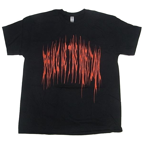 BRING ME THE HORIZON ブリング ミー ザ ホライズン PLAYING AMEN Tシャツ : SEEK&DESTROY ...